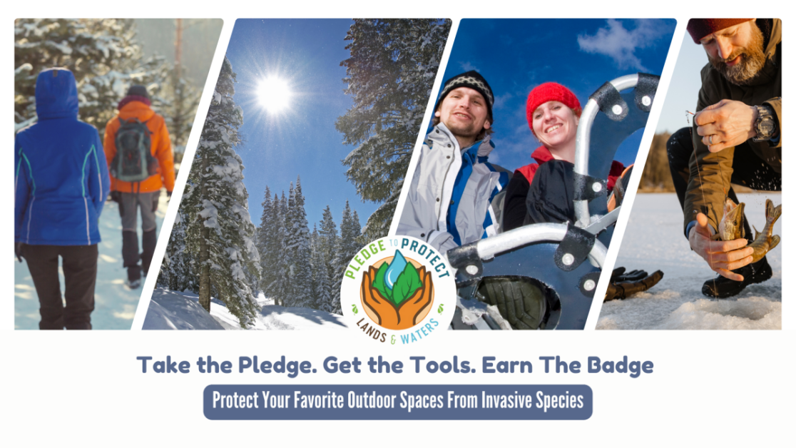 Make a New Year's Resolution that Matters: Take the Pledge to Protect