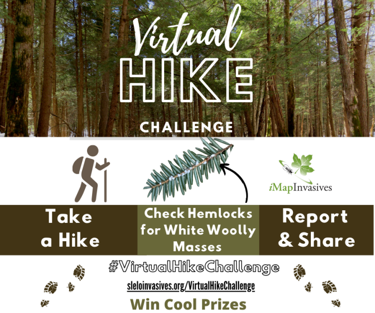 SLELO PRISM’s Virtual Hike Challenge