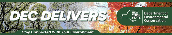 Apply for Appointment to the Mid-Atlantic Fishery Management Council